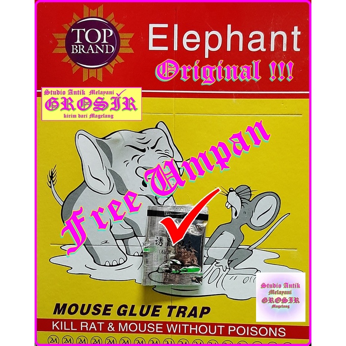 Jual LEM TIKUS 22100 - LEM TIKUS PAPAN ELEPHANT - LEM TIKUS ELEPHANT ...