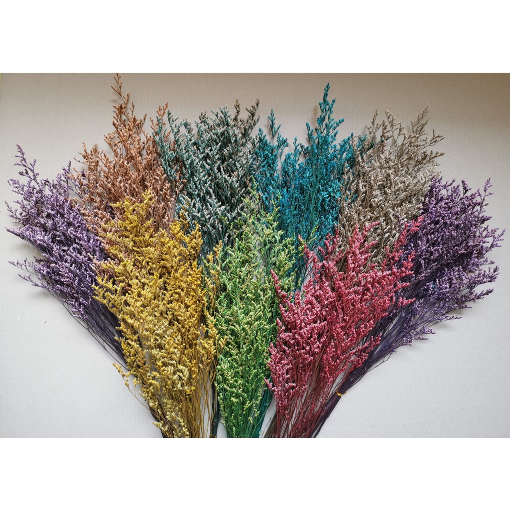 Jual Preserved Caspea 40gram | Shopee Indonesia