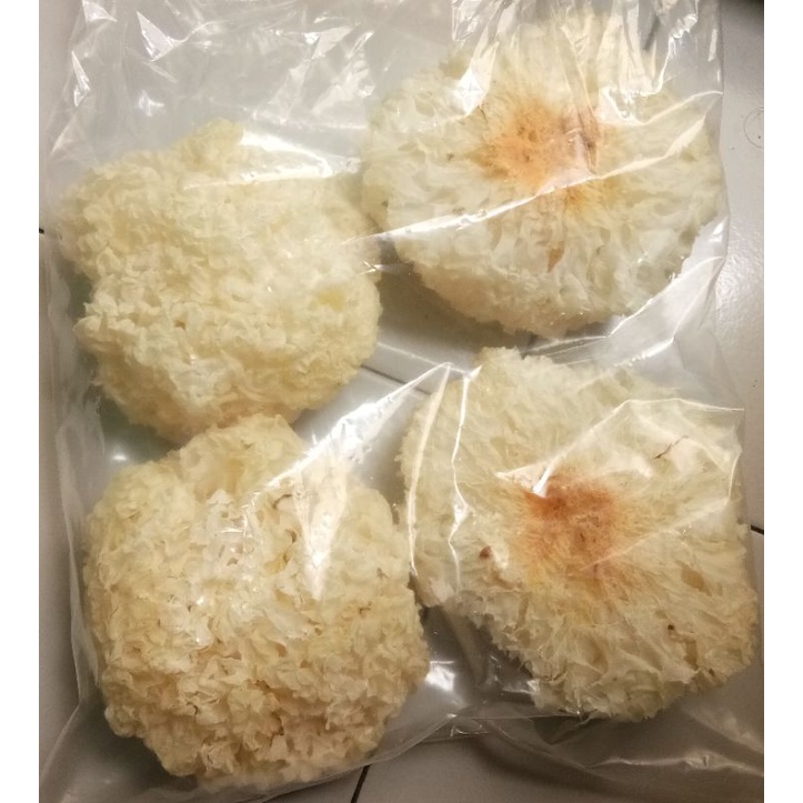 Jual Jamur salju es bai mu er pek bok ni yellow fungus 100 gram ...