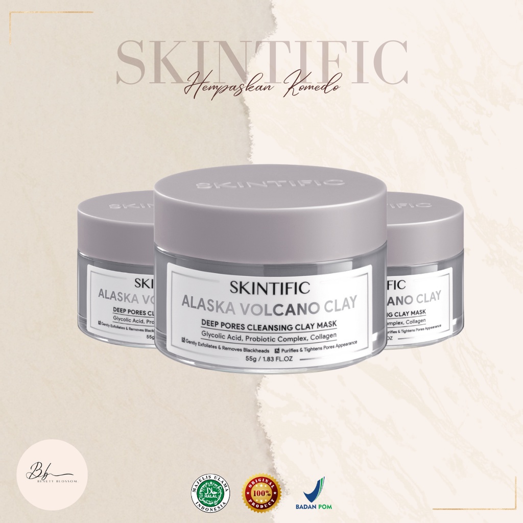 Jual SKINTIFIC Alaska Volcano Clay Mask Deep Pores Cleansing Mud Mask ...