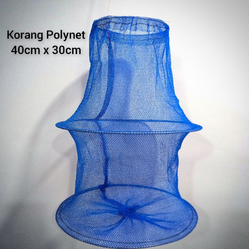 Jual Korang Ikan Koja Ikan korang serut korang lumut | Shopee Indonesia