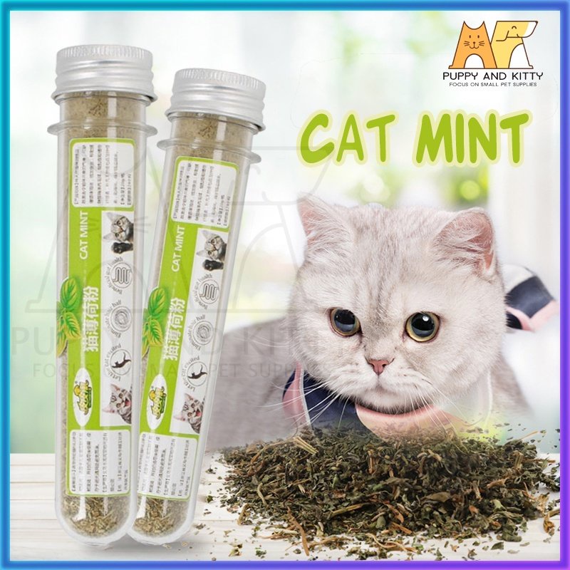 Jual Catnip Catmint-5g 15g / Catmint powder Cat mint/pure catmint ...