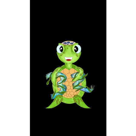 Jual Pesanan Khusus Boneka Maskot Kura-Kura | Shopee Indonesia