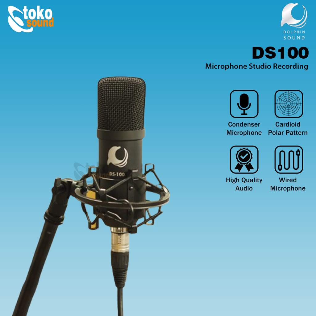 Jual Dolphin Sound DS100 Condenser Studio Microphone | Shopee Indonesia