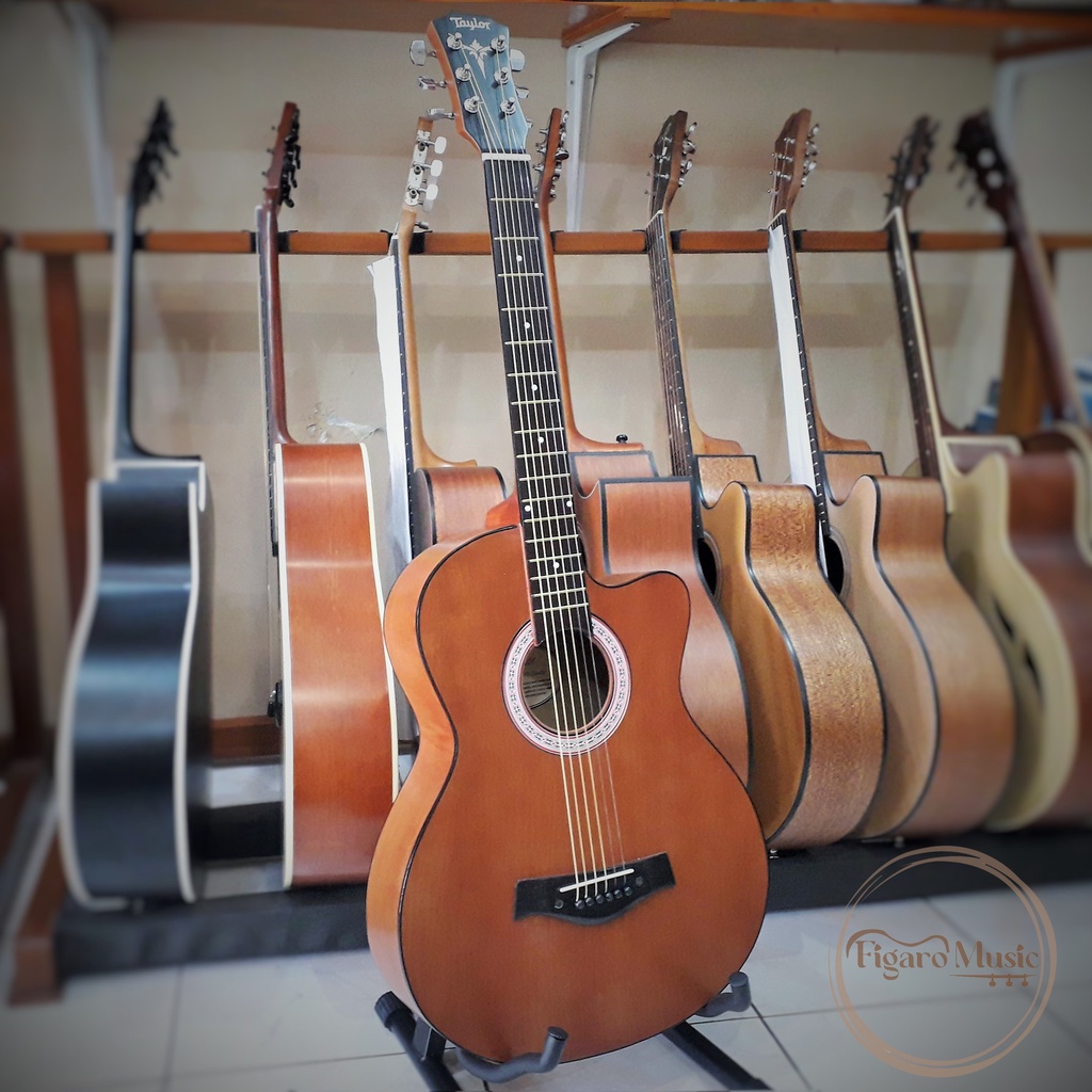Jual Gitar Akustik Pemula New Edition - Tanam Besi | Shopee Indonesia