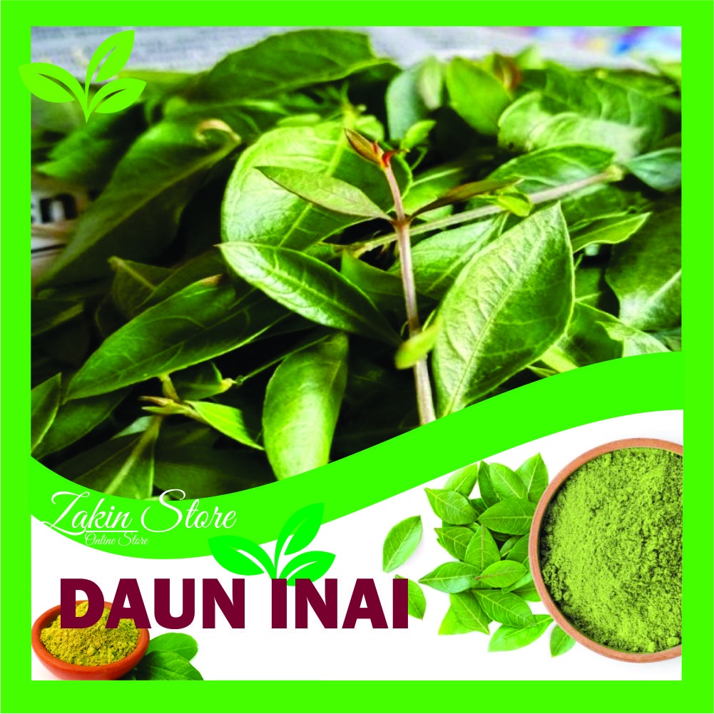 Jual Daun Pacar Kuku / daun Inai / Daun henna / Daun Pacar Arab 100 ...