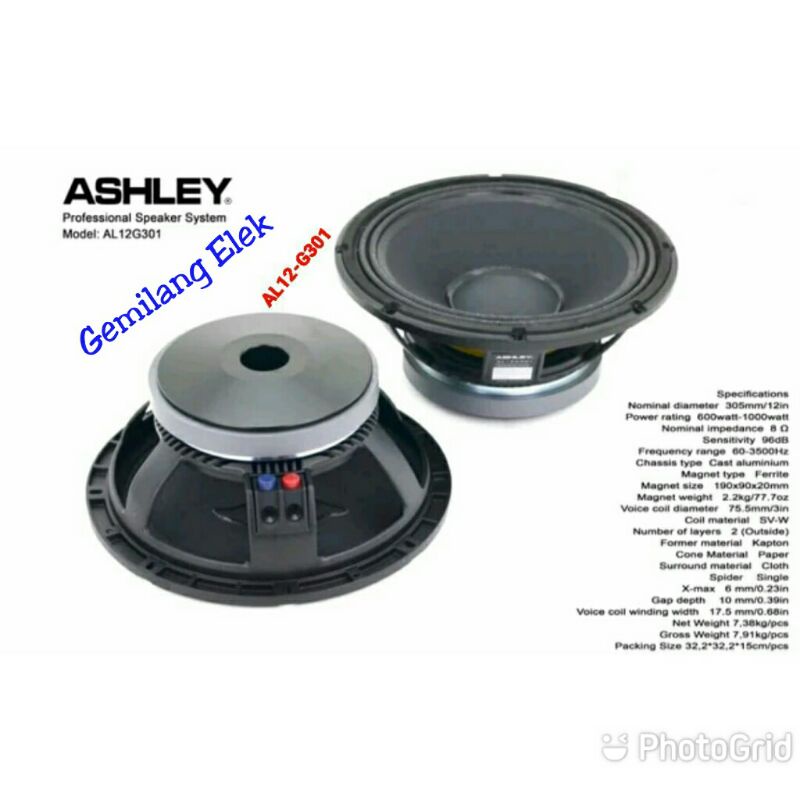 Jual Speaker ASHLEY 12 inch AL 12G301 Original Garansi | Shopee Indonesia
