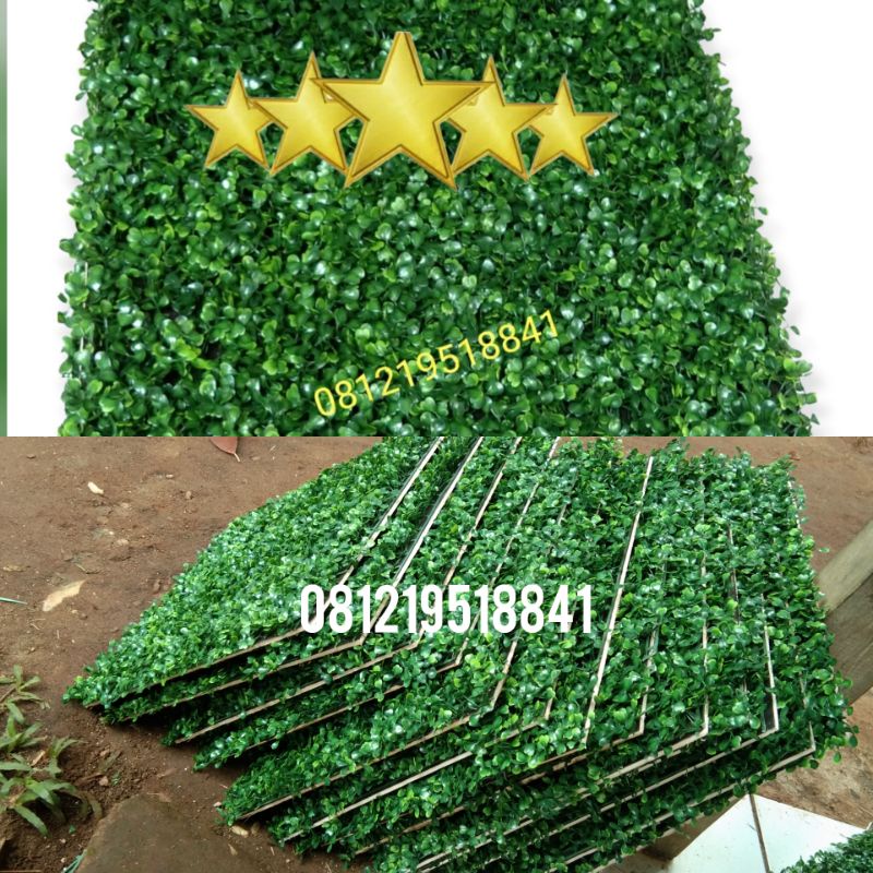 Jual DAUN RAMBAT DOLAR,DAUN SINTETIS 50 x 50 CM, DAUN PLASTIK, TANAMAN ...