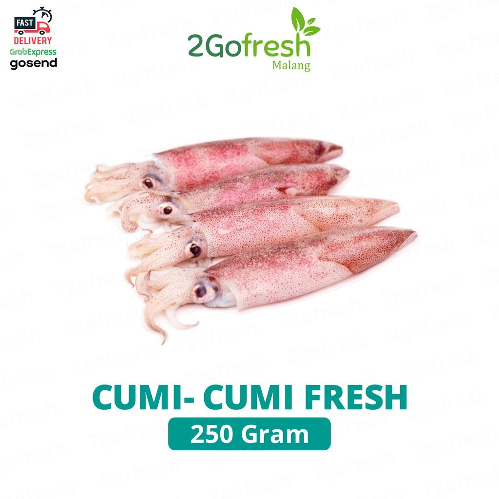 Jual Cumi - Cumi Fresh - Sayur Sayuran | Shopee Indonesia