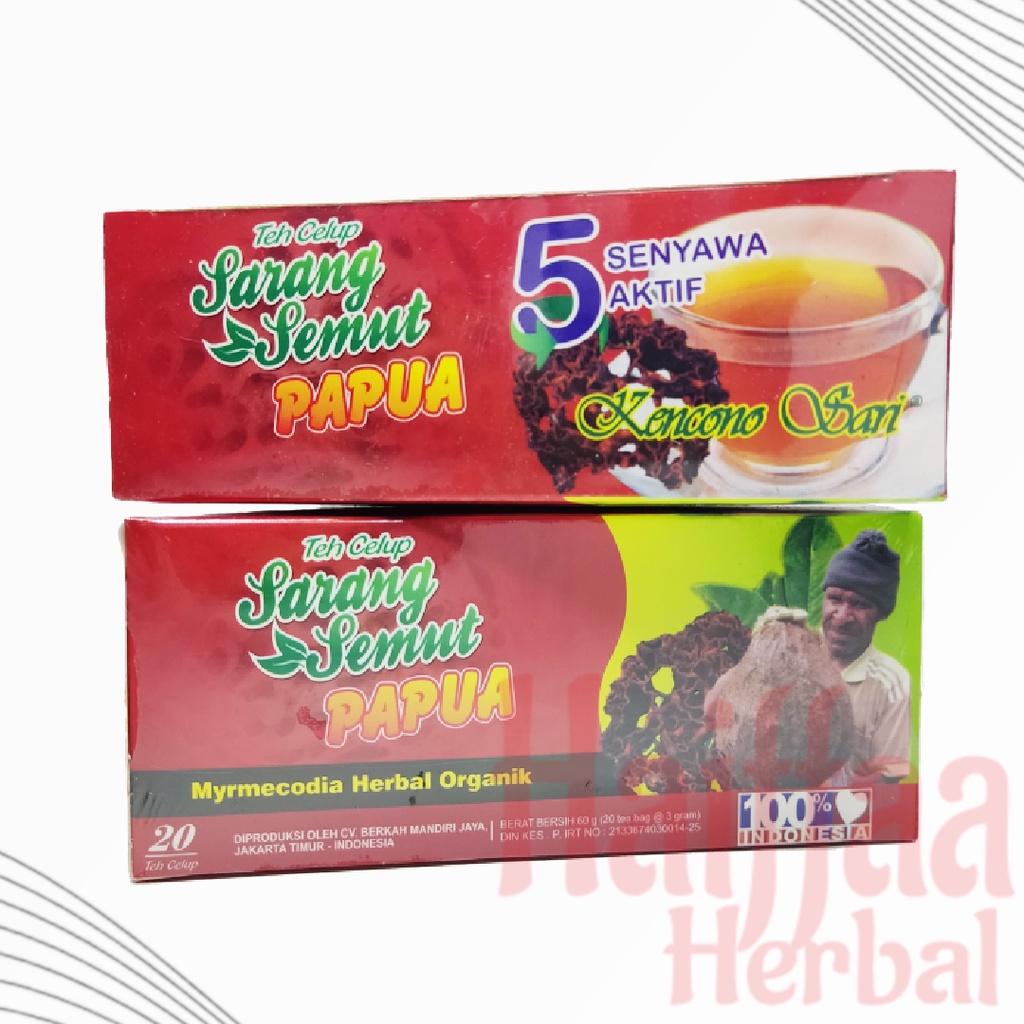 Jual Teh Celup Sarang Semut Papua Kencono Sari Teh Herbal Asam Urat ...