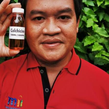 Jual Hormon Tanaman Colchicine Kolkisin 100ml Mutasi Raksasa Polipoid ...