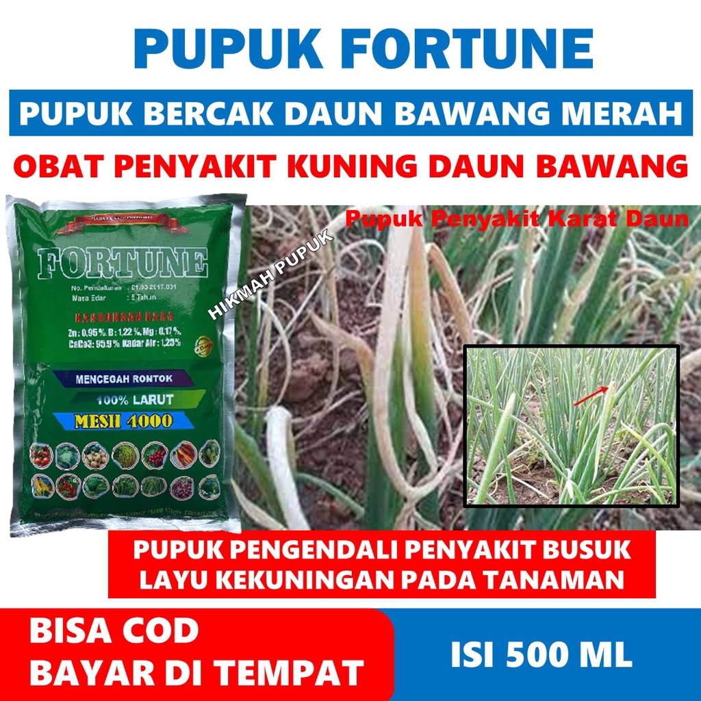 Jual OBAT PENYAKIT BAWANG MERAH DAUN KUNING PALING BAGUS FORTUNE isi 1 ...