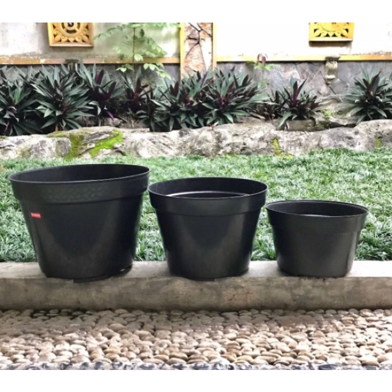 Jual Pot Bunga Hitam ukuran Kecil (Mahkota) | Shopee Indonesia