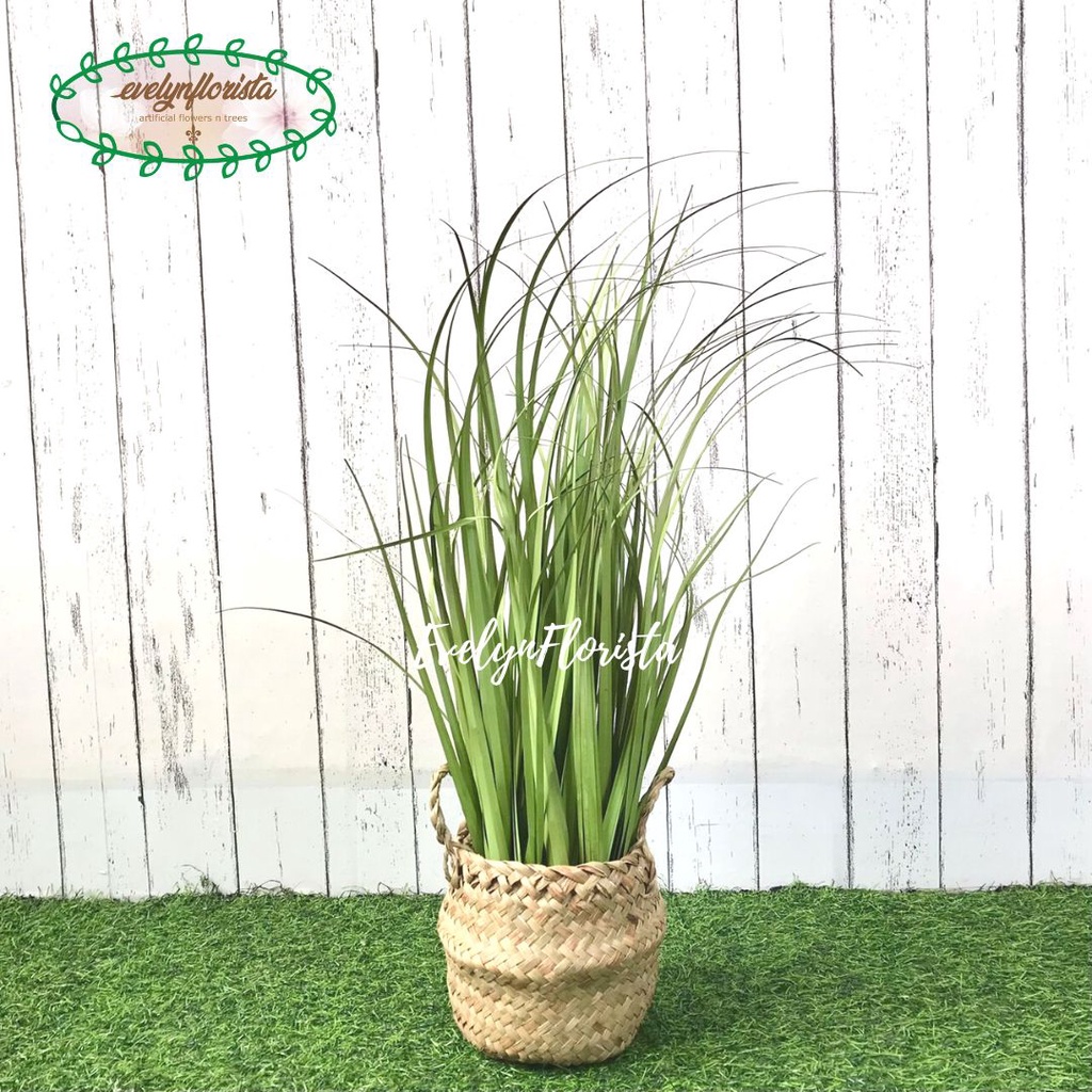 Jual Tanaman Hias Rumput Ilalang Setaria T60 Plastik Artificial Cover ...