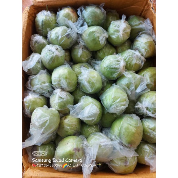 Jual COD 1 KG ANEKA BUAH BUAHAN SEGAR IMPORT DAN LOKAL MANGGA MADU ...
