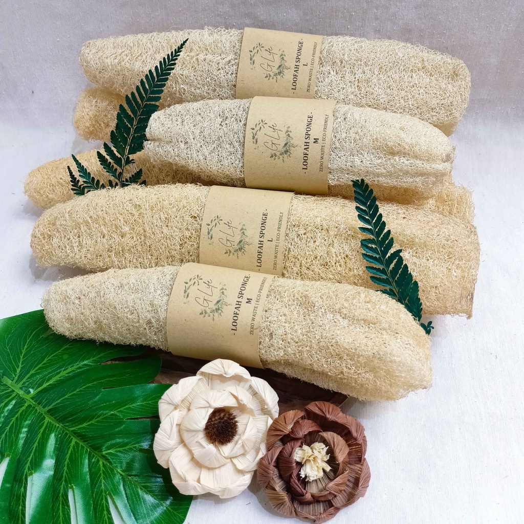 Jual Loofah Sponge Mandi/Spons Loofah Mandi Gambas Oyong Alami | Shopee ...