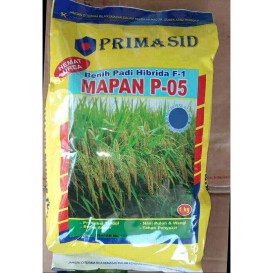 Jual Bibit Padi Mapan 05 Kemasan 1Kg | Shopee Indonesia
