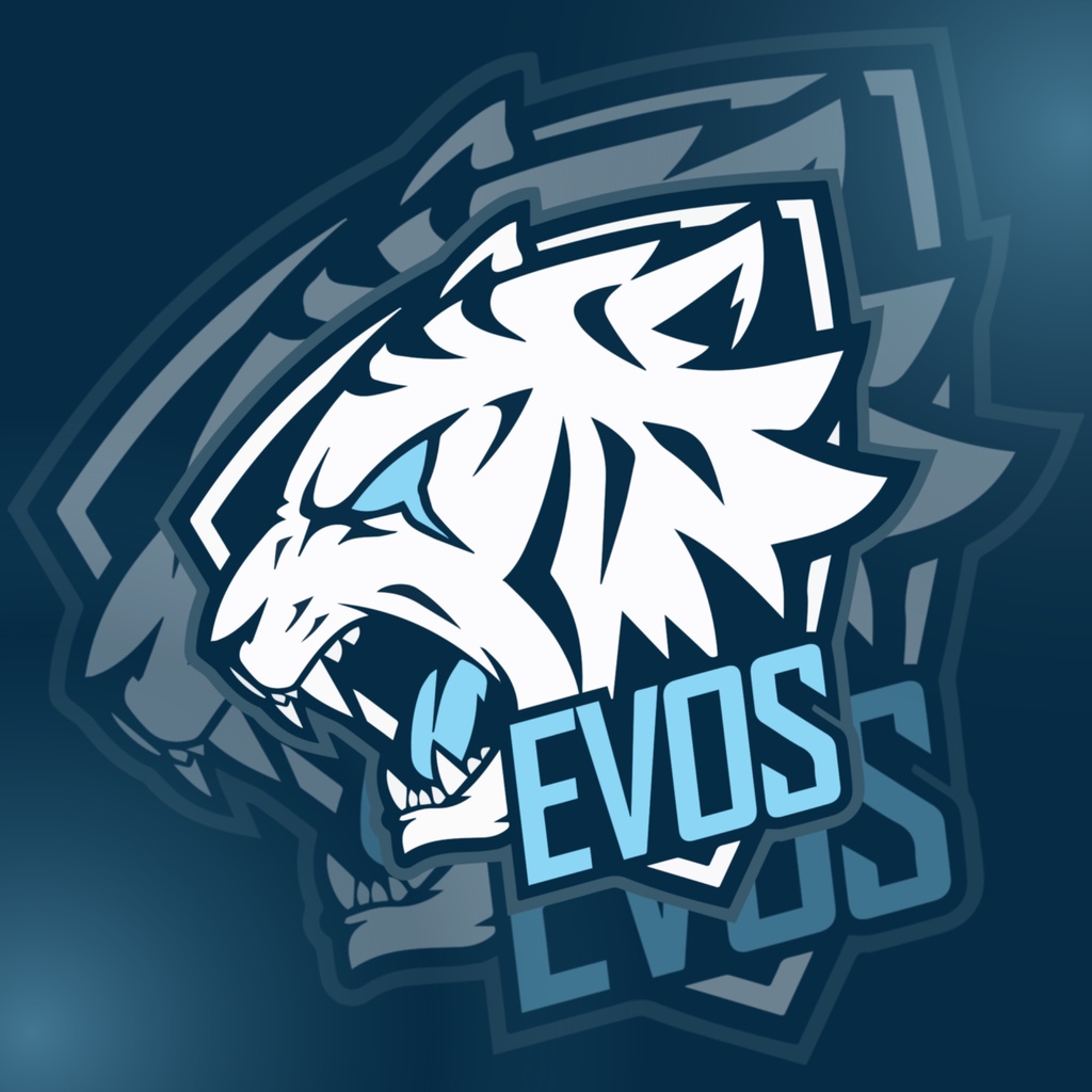 Jual BANNER LOGO EVOS ESPORTS / SPANDUK LOGO EVOS ESPORTS | Shopee ...