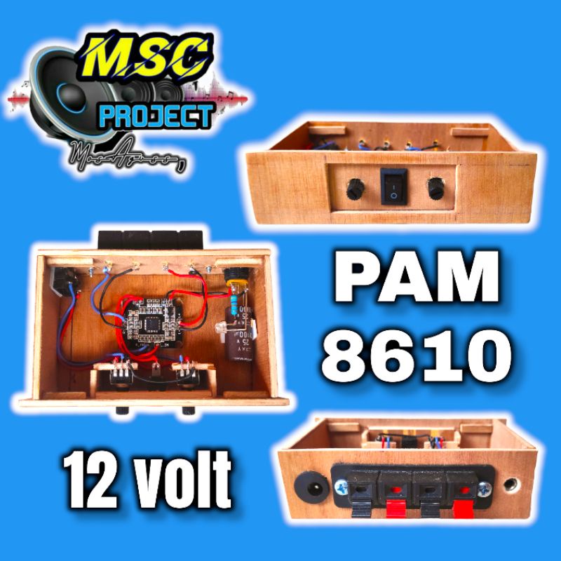 Jual Power amplifier PAM 8610 12 volt | Shopee Indonesia