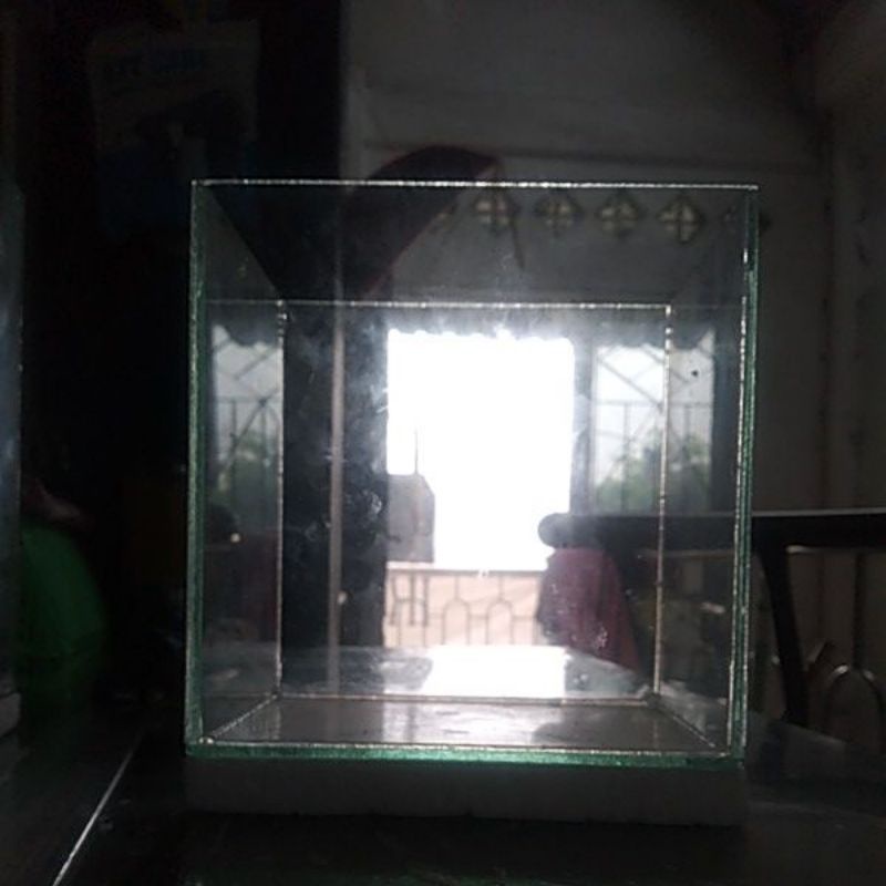 Jual Akuarium Mini Kaca 15 x 15 x 10cm | Shopee Indonesia