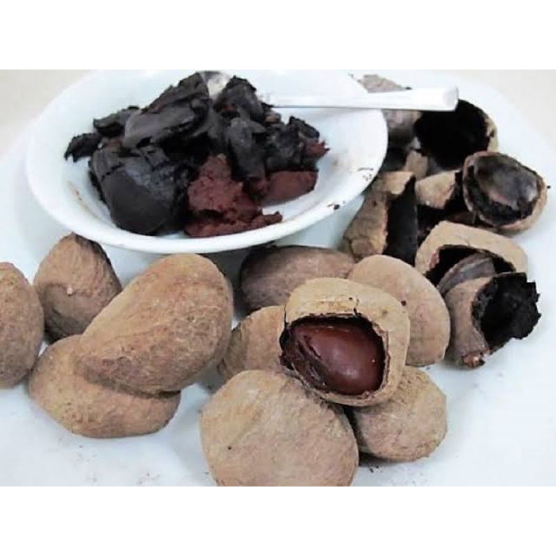 Jual KELUWAK KELUAK KELEWEK KEPAYANG PICUNG 500 GRAM | Shopee Indonesia