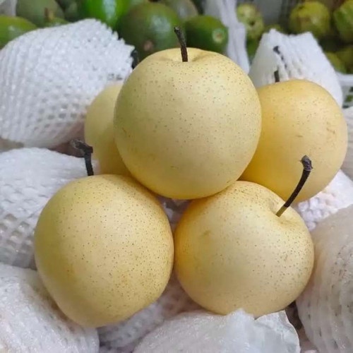 Jual PROMO Pear Pir Century Madu Manis 1 Kg | Shopee Indonesia