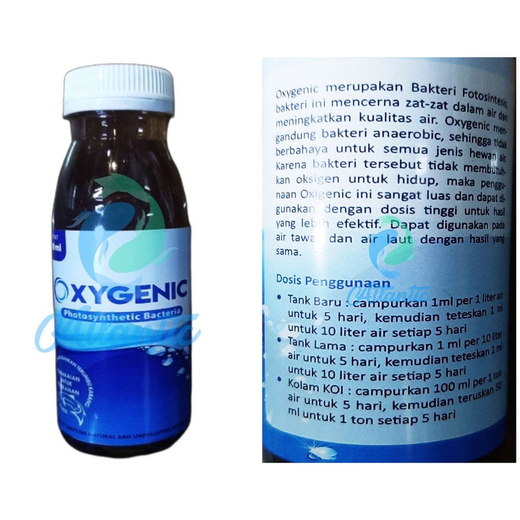 Jual Oxygenic 100ml Probiotik Bakteri Starter Cair Probiotic Kolam ...