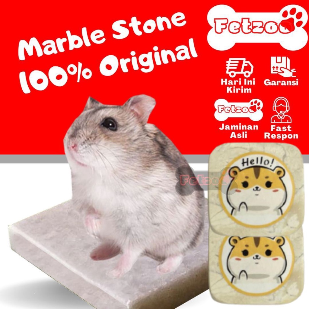Jual Cooling Pad Keramik Marble Stone for Hamster FETZOO | Shopee Indonesia
