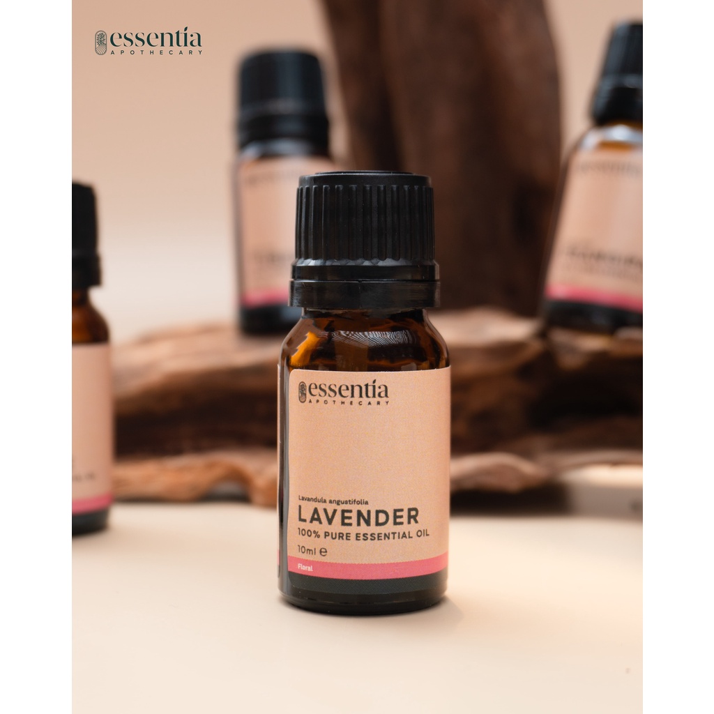 Jual Essentia Apothecary Essential Oil Starter Kit | Shopee Indonesia
