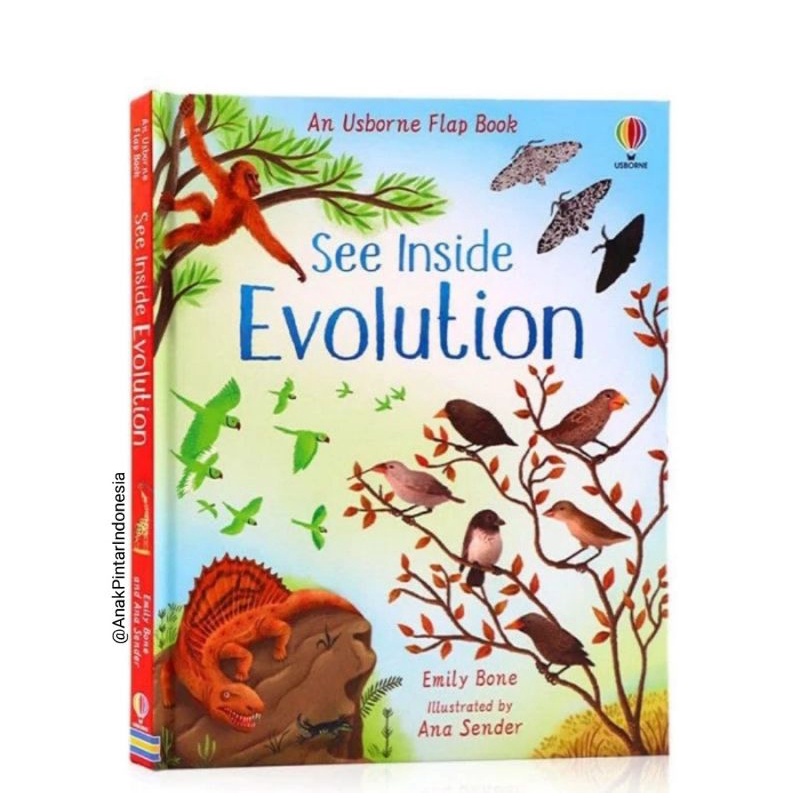 Jual USBORNE FLAP BOOK SEE INSIDE EVOLUTION | Shopee Indonesia