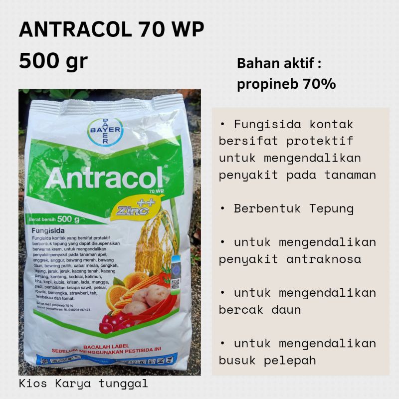 Jual Fungisida antracol 70WP 500gr plus zinc ++ ZPT Fungisida ...