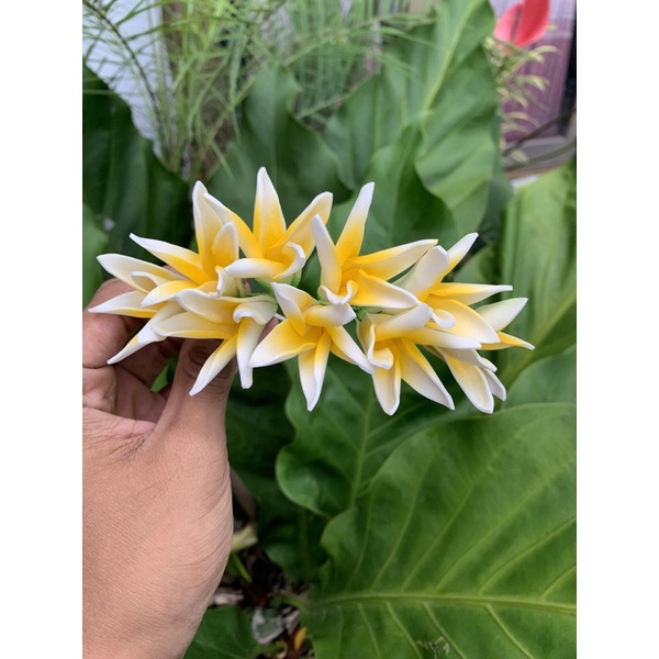 Jual semanggi bali model jepun bali/hiasan rambut /karet ulir | Shopee ...