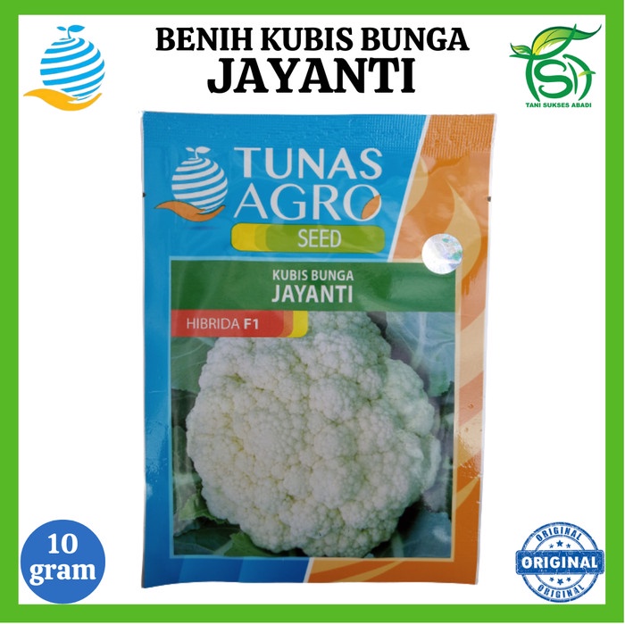 Jual Benih Kubis Bunga JAYANTI F1 (10 Gram) - Bibit Kembang Kol Tunas ...