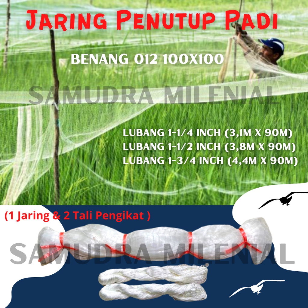 Jual Jaring Burung / Jaring Emprit / jaring Penutup Sawah Pengaman Padi / Jaring Sawah | Shopee ...