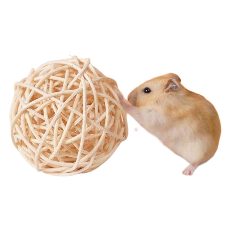 Jual Hamster Mainan Hamster Gigitan Hamster Bola Rotan Hamster | Shopee ...