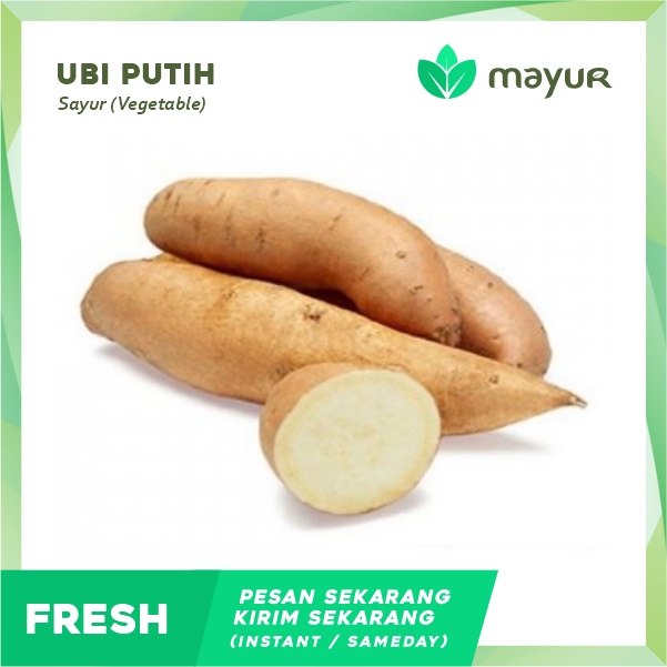 Jual Ubi Putih (500 g | 1 kg) | Shopee Indonesia