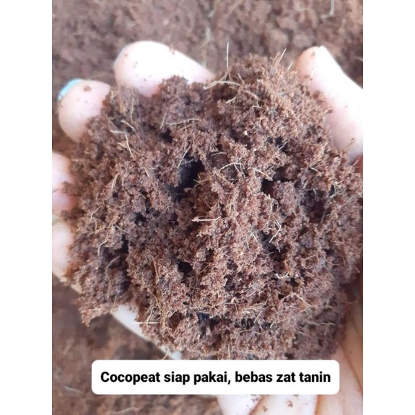 Jual 5Kg Cocopeat/ Kokopit/ Serbuk Sabut Kelapa Komponen Media Tanam ...