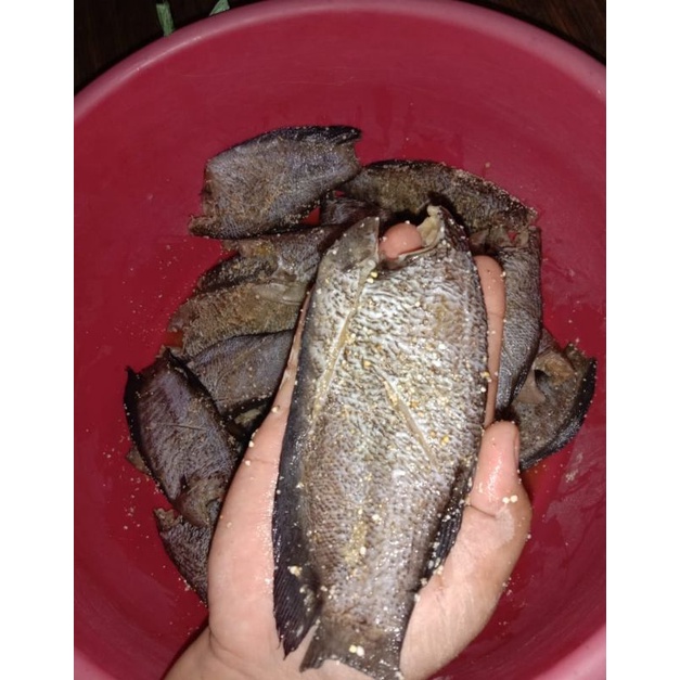 Jual Ikan Asin Wadi Sepat Sapat Siam Khas Amuntai (Kalsel) Berat 500 g ...