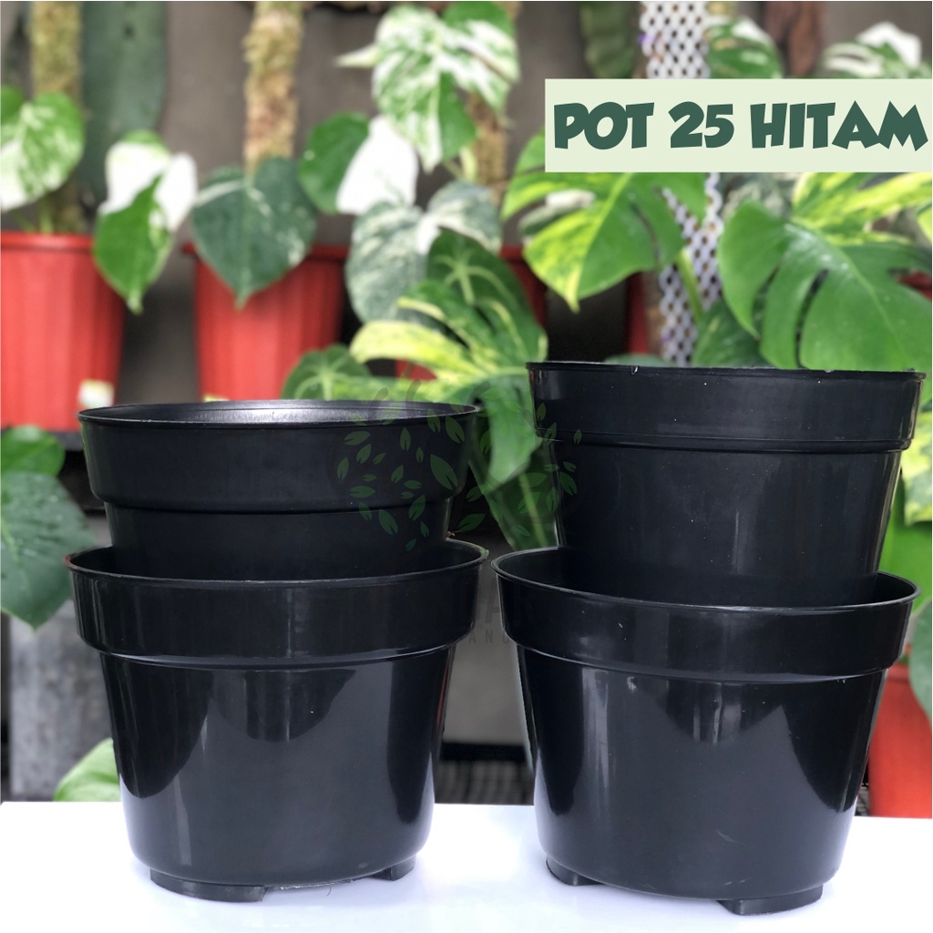 Jual Pot Tanaman Hitam Ukuran 25 Pot Bunga Hias Hitam 25cm | Shopee ...
