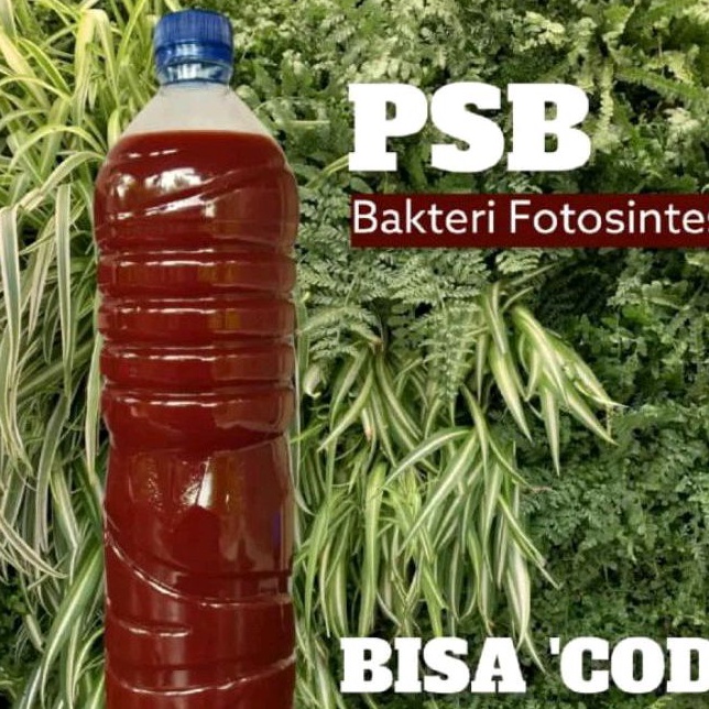 Jual Pupuk PSB Fotosintesis 1500ml | Shopee Indonesia