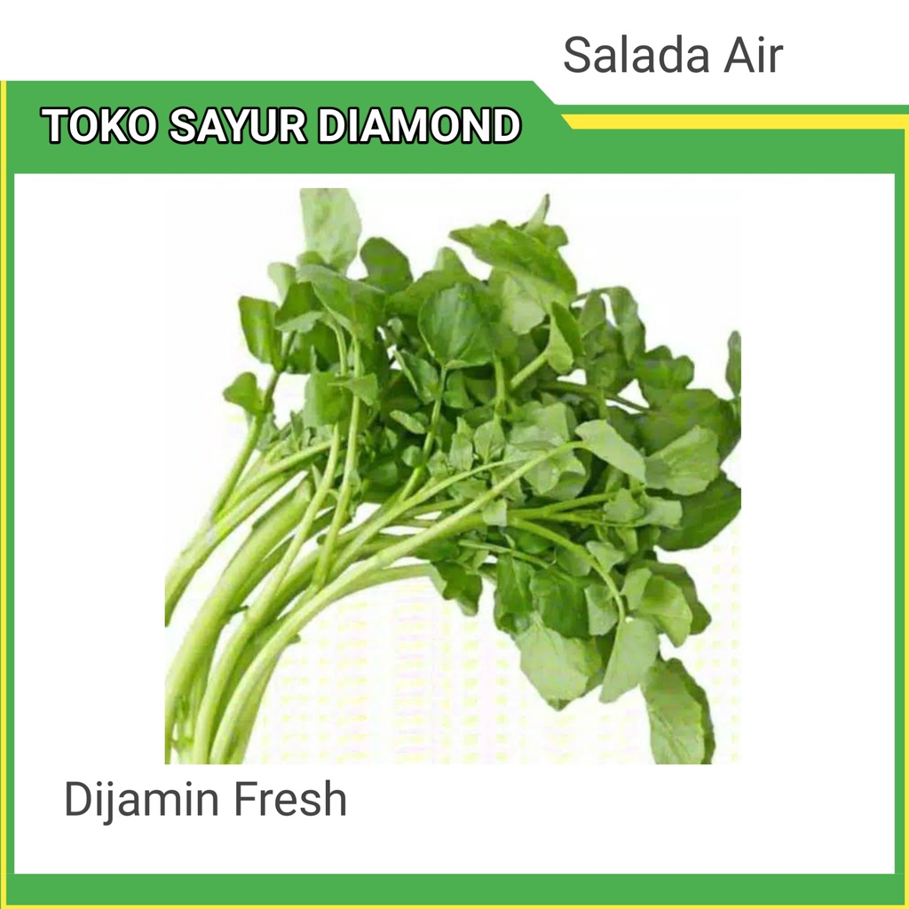 Jual Selada Air Per Ikat | Shopee Indonesia