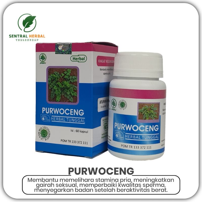 Jual Purwoceng Herbal Indo Utama Penambah Stamina Pria Isi 60 Kapsul ...
