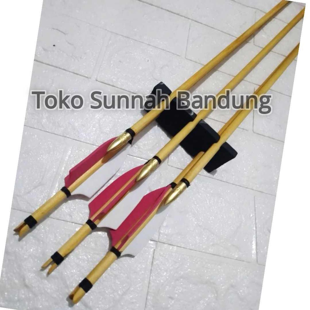 Jual 6pcs Panah Ramin Vanesh Spon Point Besi Panjang 65cm ukuran 8mm ...