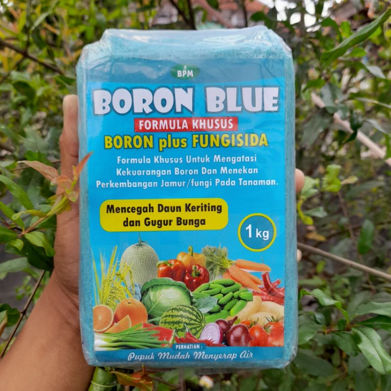Jual BORON BLUE 1 KG / FORMULA KHUSUS/ BORON plus FUNGISIDA/ untuk ...