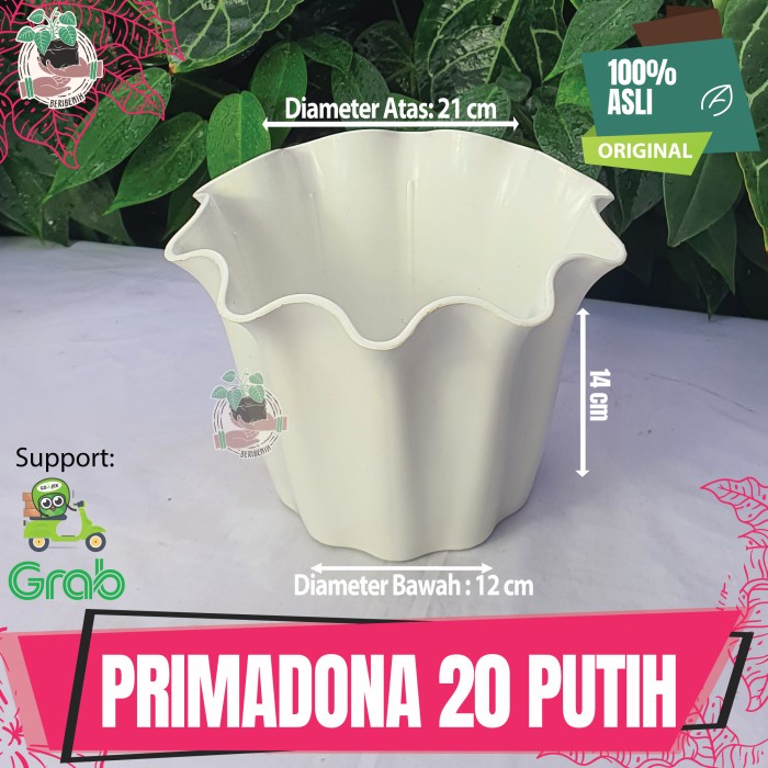 Jual Pot Bunga Tanaman Hias Shallom Primadona Putih Motif Kembang Tebal ...