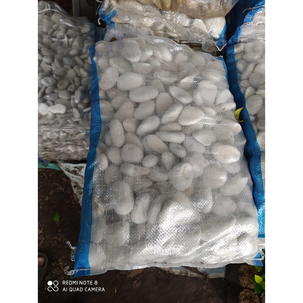 Jual Batu Koral Putih Karungan Kupang Batu Taman | Shopee Indonesia