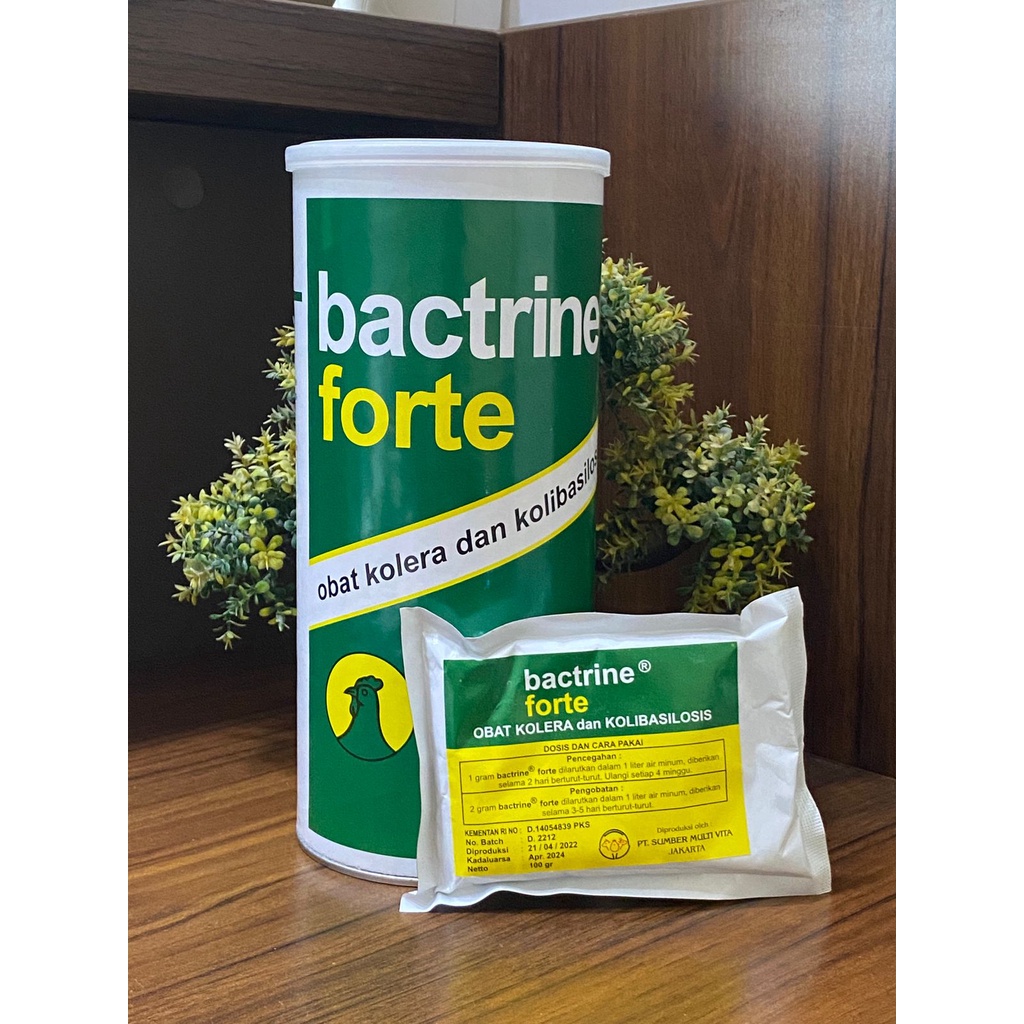 Jual OBAT BERAK HIJAU PADA UNGGAS || BACTRINE FORTE | Shopee Indonesia