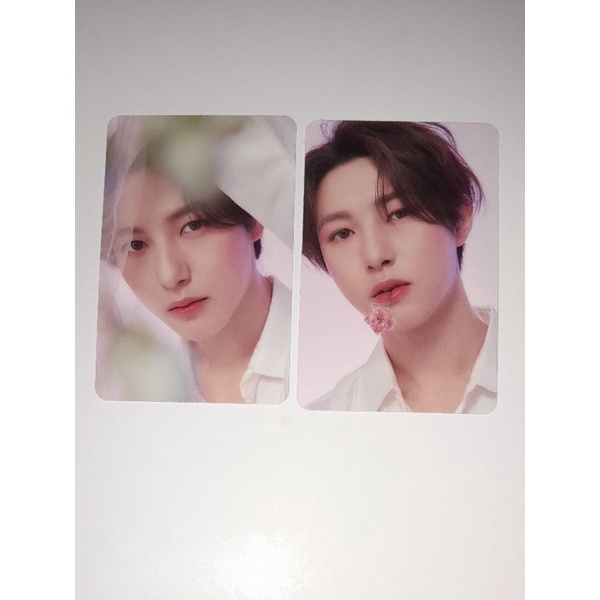Jual Photocard Candylab V4 Renjun Konsep | pc concept version 4 gigit ...