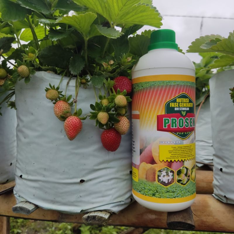Jual NUTRISI BUNGA DAN BUAH PROSEN 1L (BIO STIMULAN) | Shopee Indonesia