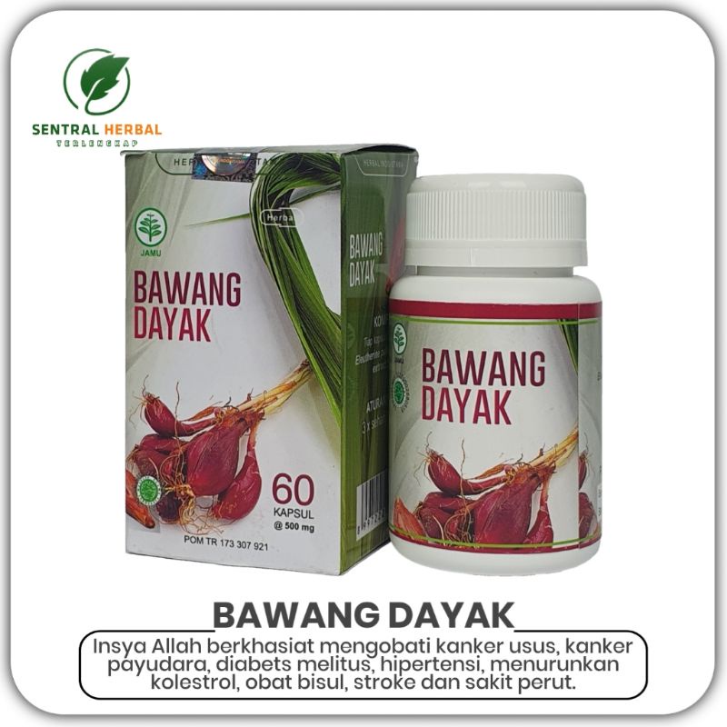 Jual Bawang Dayak Herbal Indo Utama Anti Kanker Isi 60 Kapsil | Shopee ...